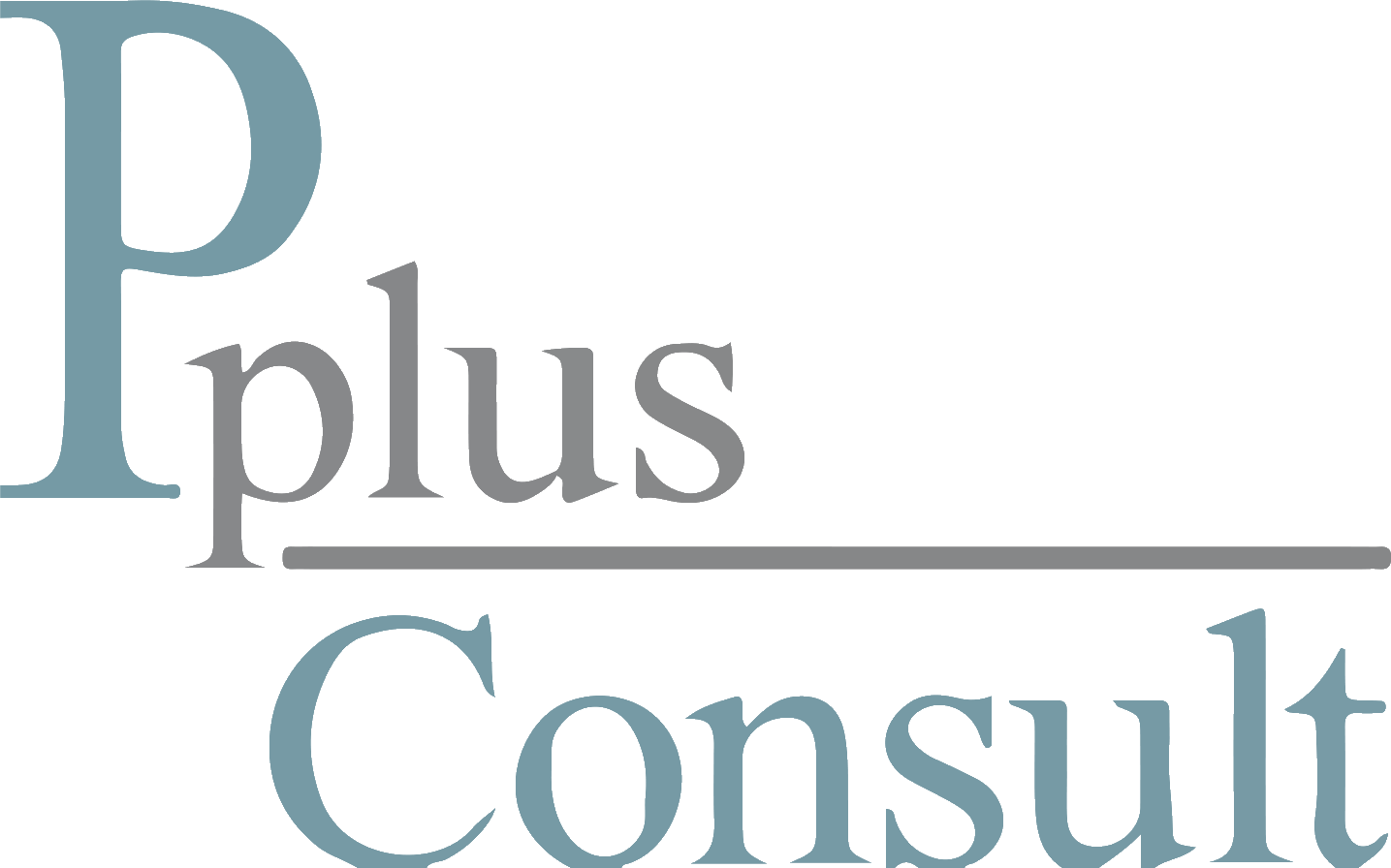 Pplus Consult – Ihr Partner für zuverlässige Beratung in den Bereichen ...